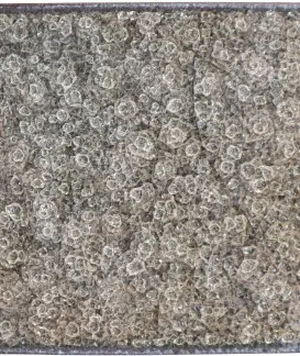 VENUS TILE | Depo Keramik